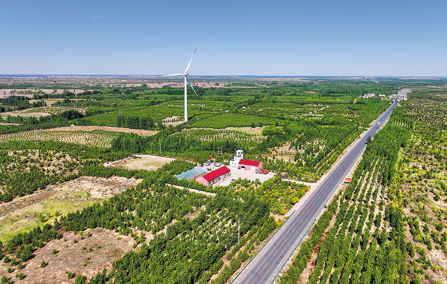 6415 – En Chine, les arbres commencent à faire reculer le sable – par ...